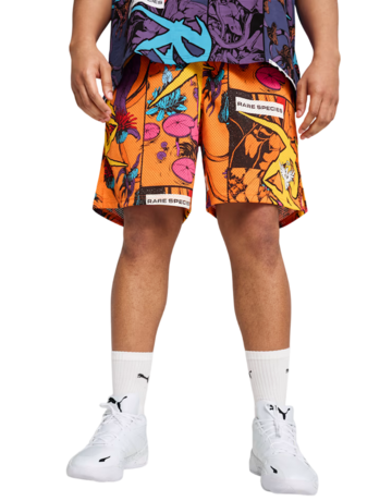 Tienda Baloncesto - Todo el Basket Online - manelsanchez.com