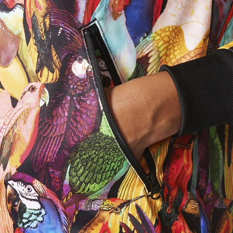 Adidas Originals Passaredo Track Jacket (multicolor)